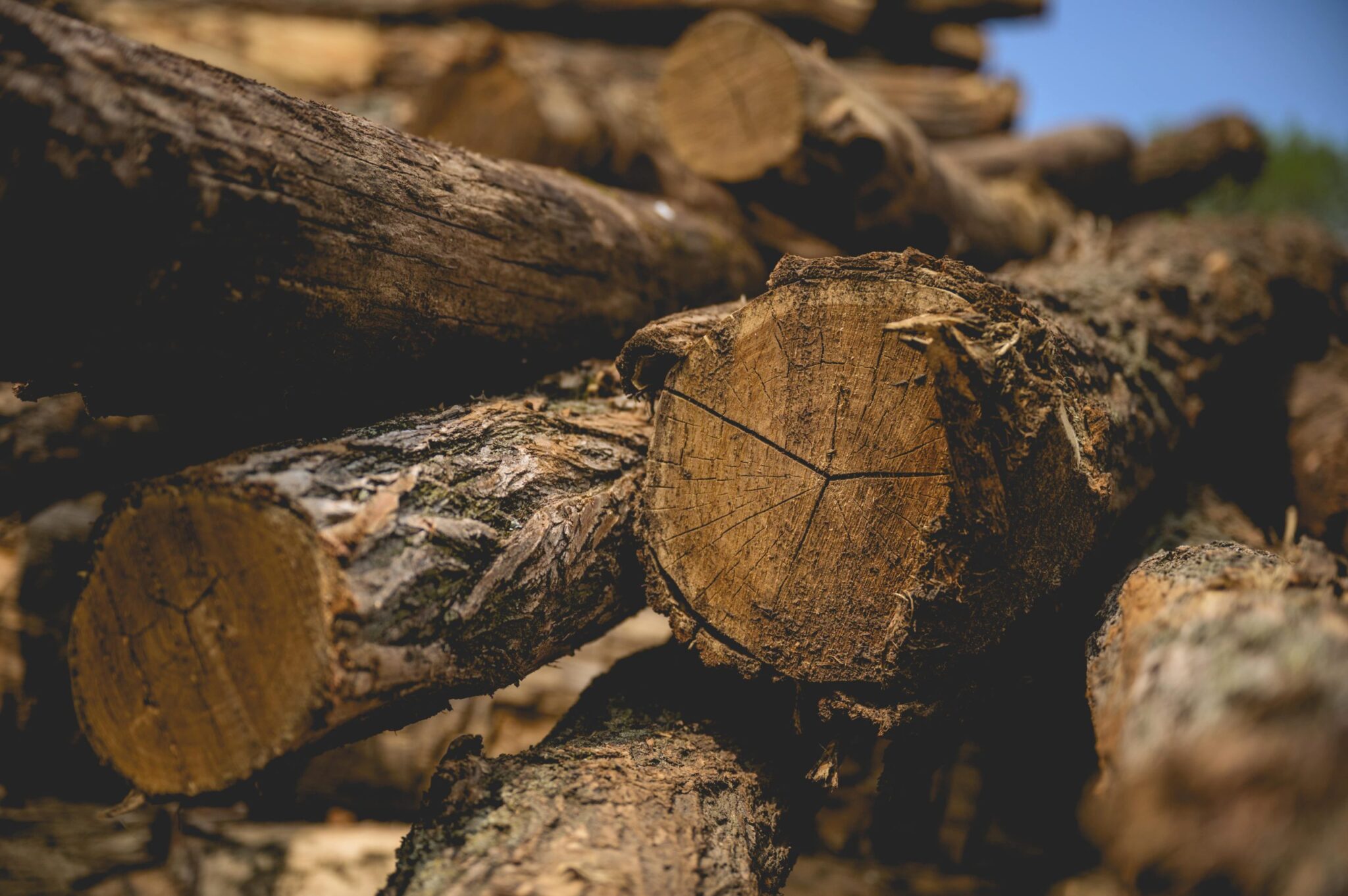 Lumber - Black Locust