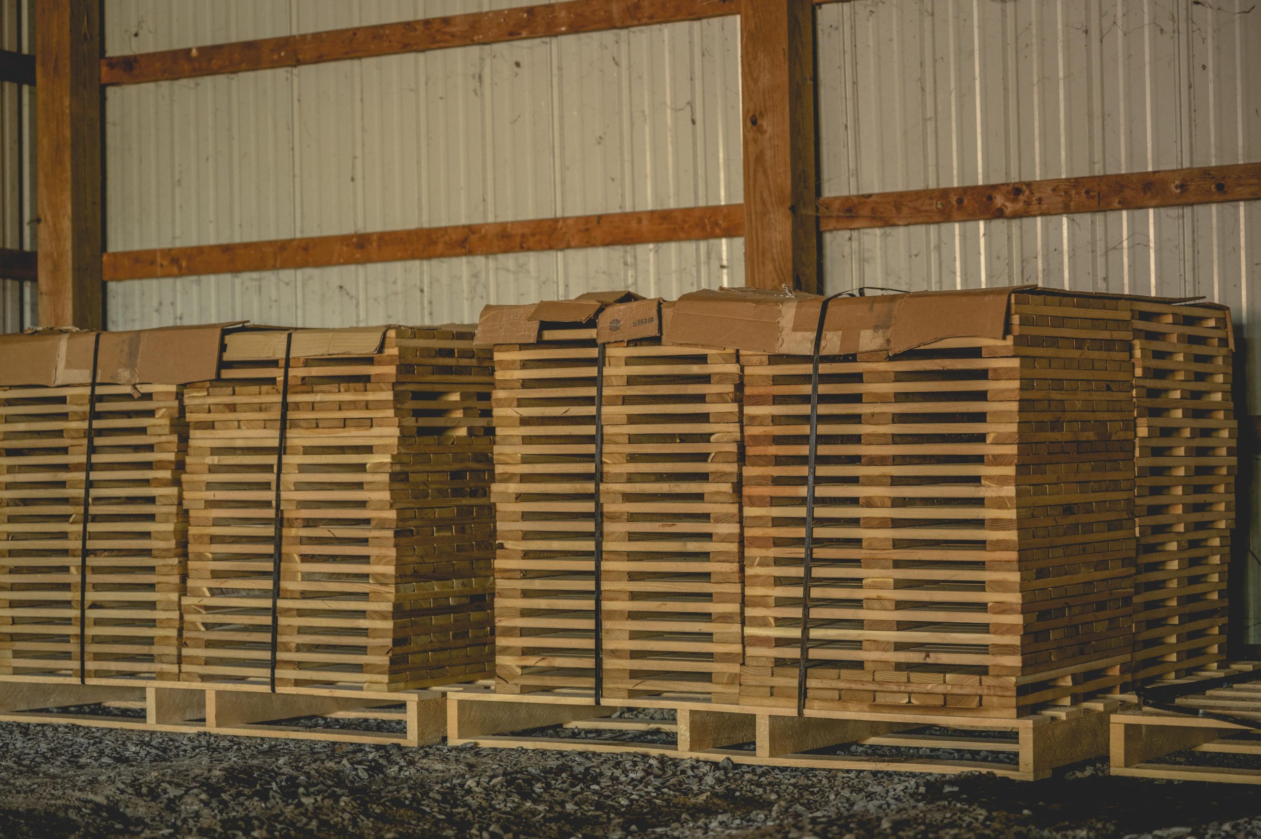 Gallery - Black Locust