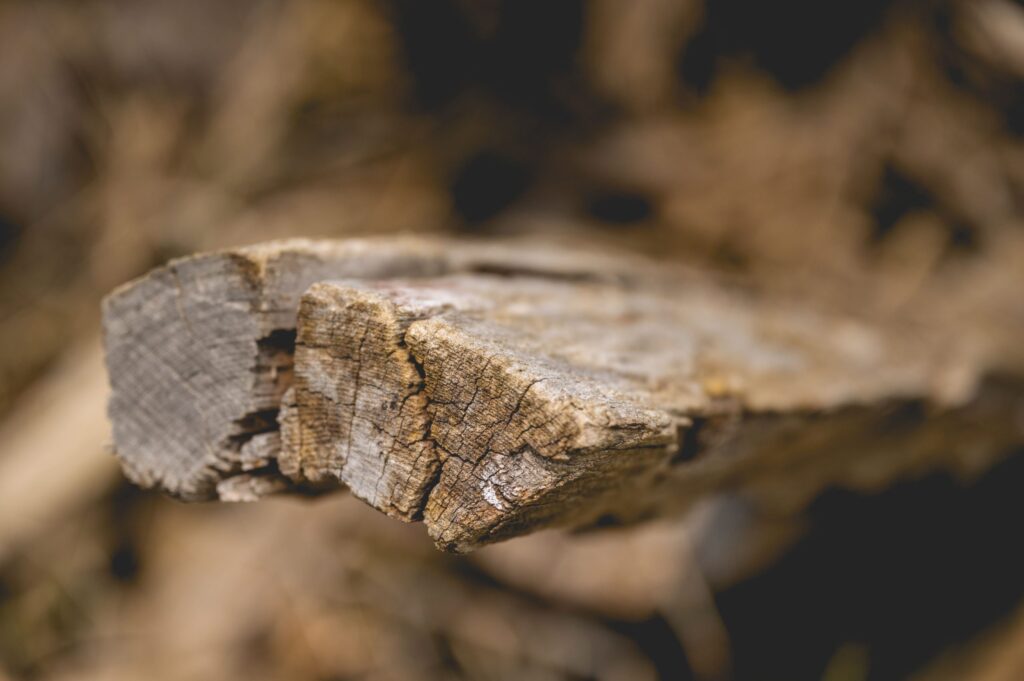 Lumber - Black Locust