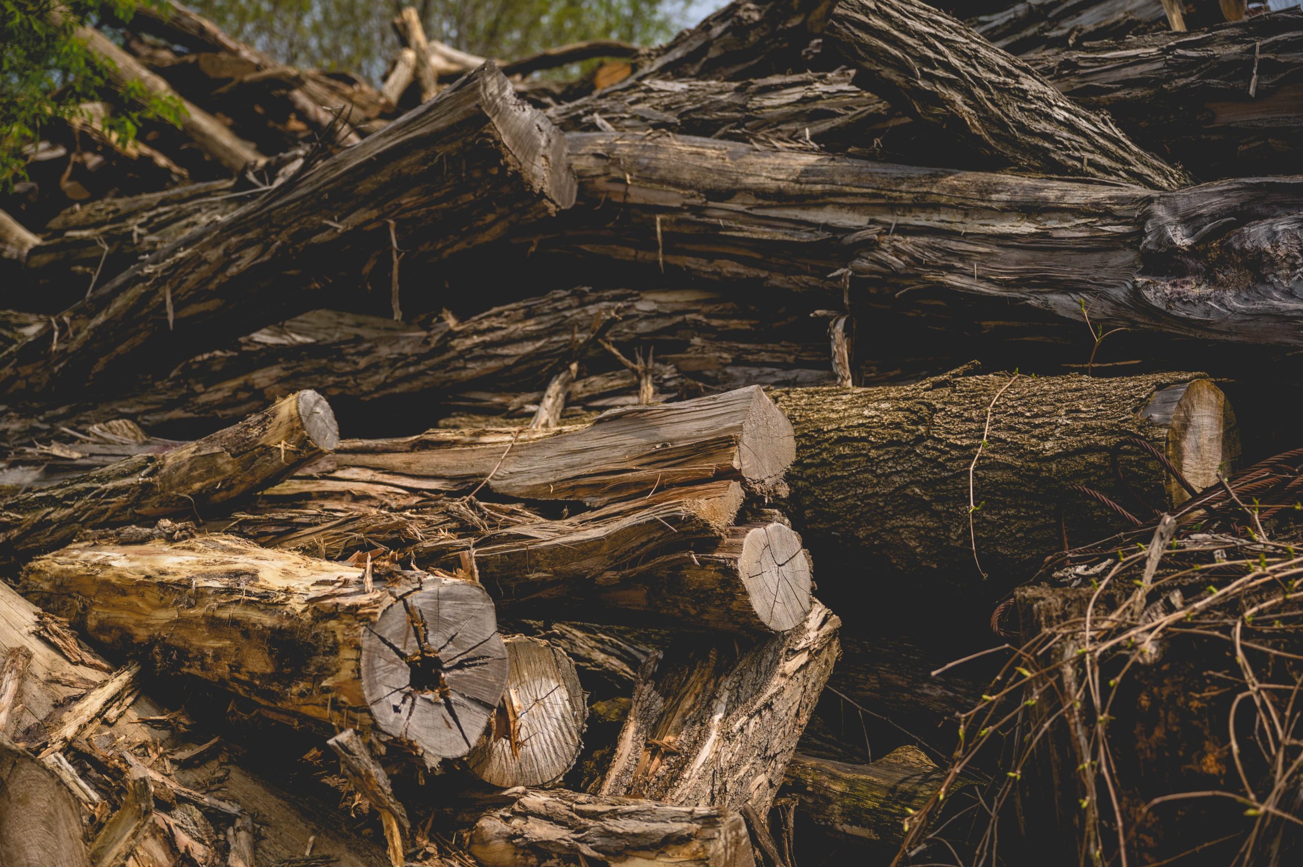 Lumber - Black Locust