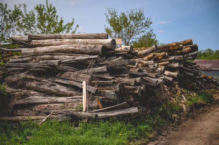 Lumber - Black Locust