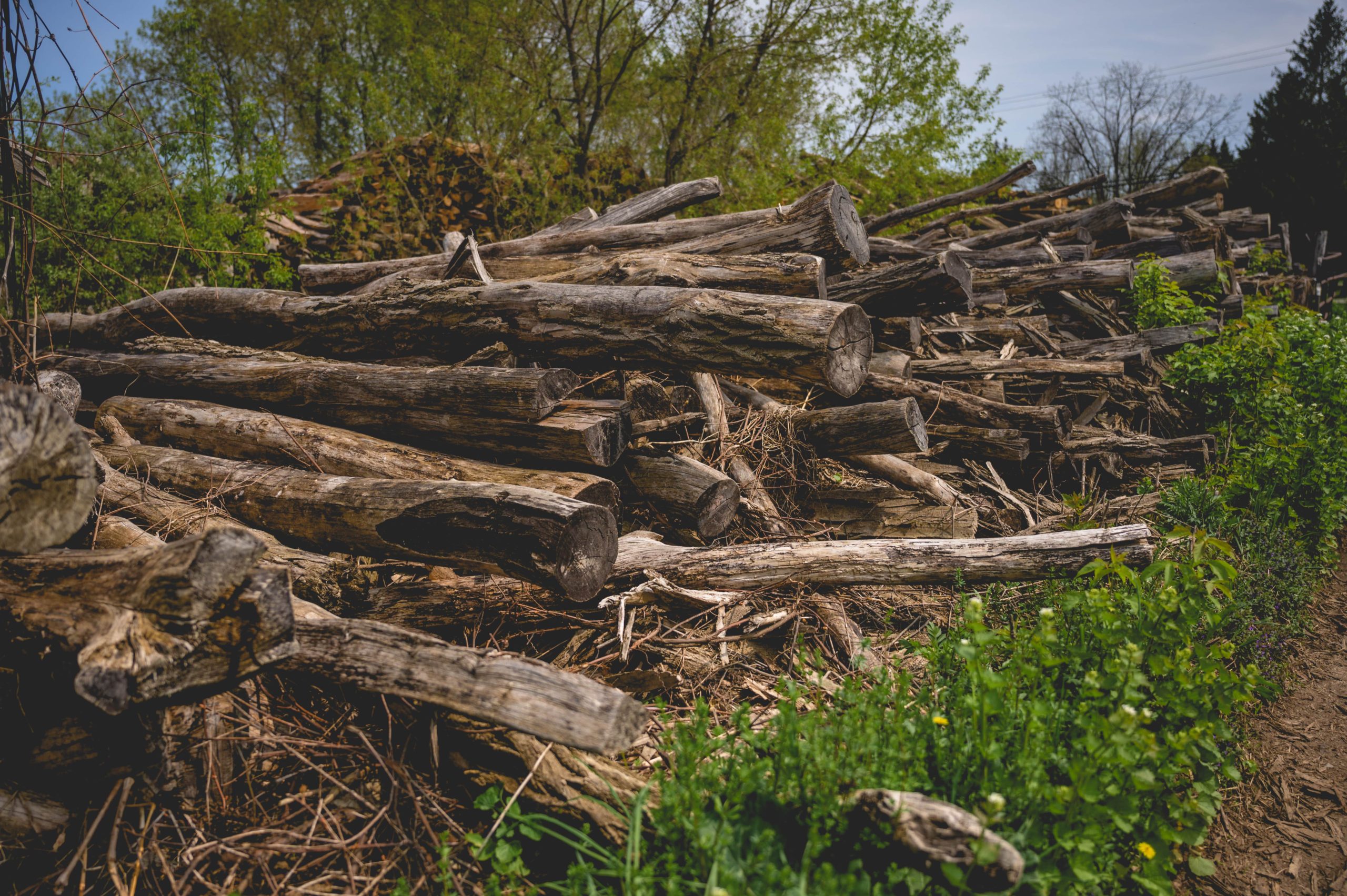 Lumber - Black Locust