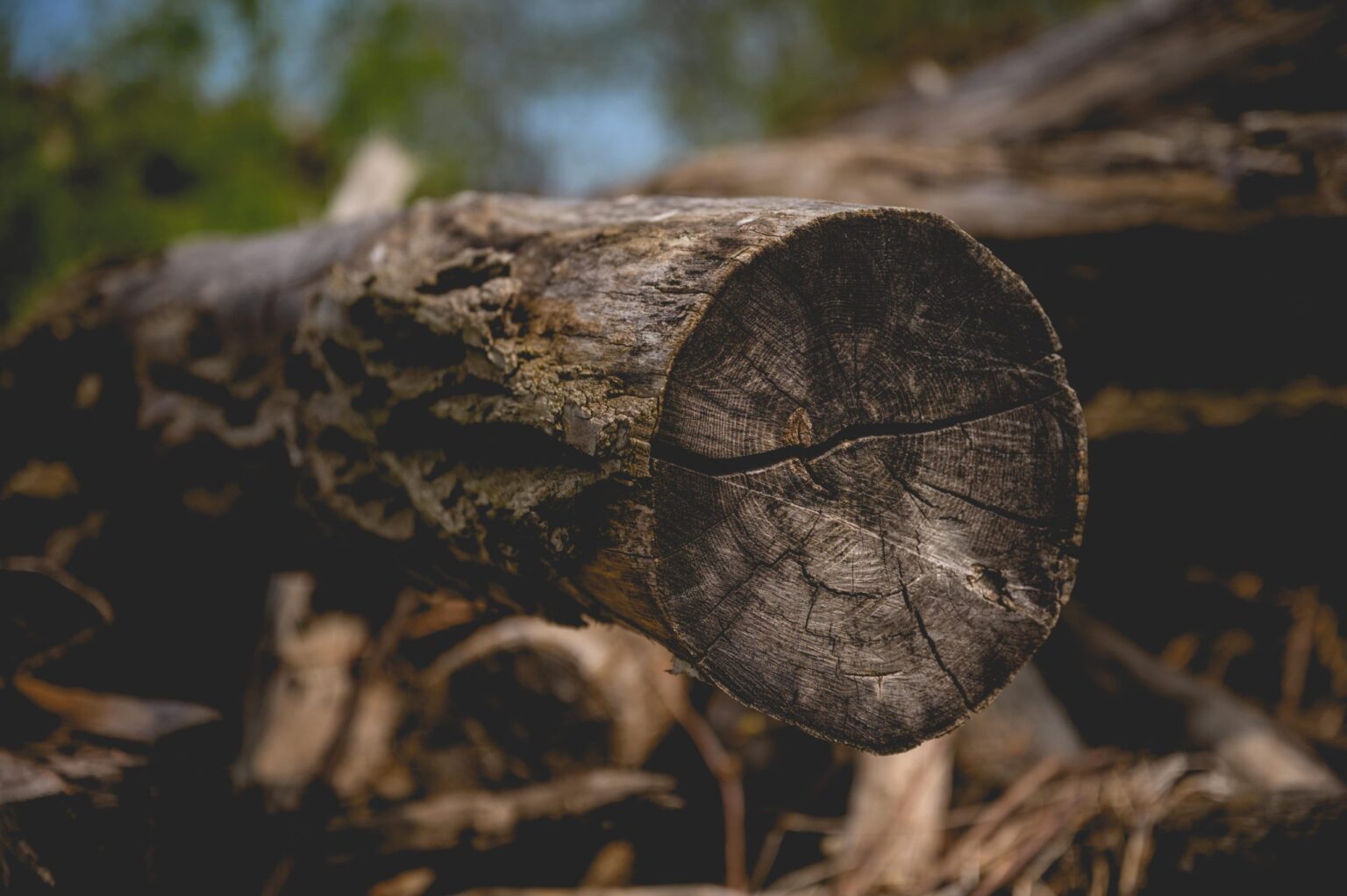 Lumber - Black Locust