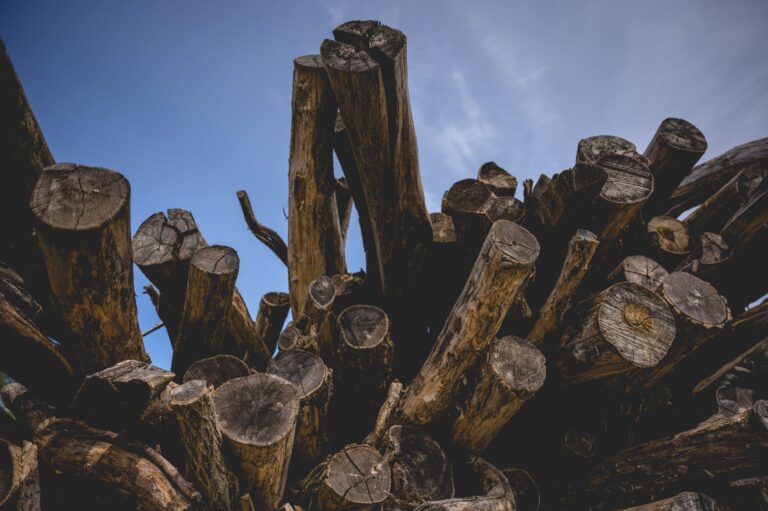 Lumber - Black Locust