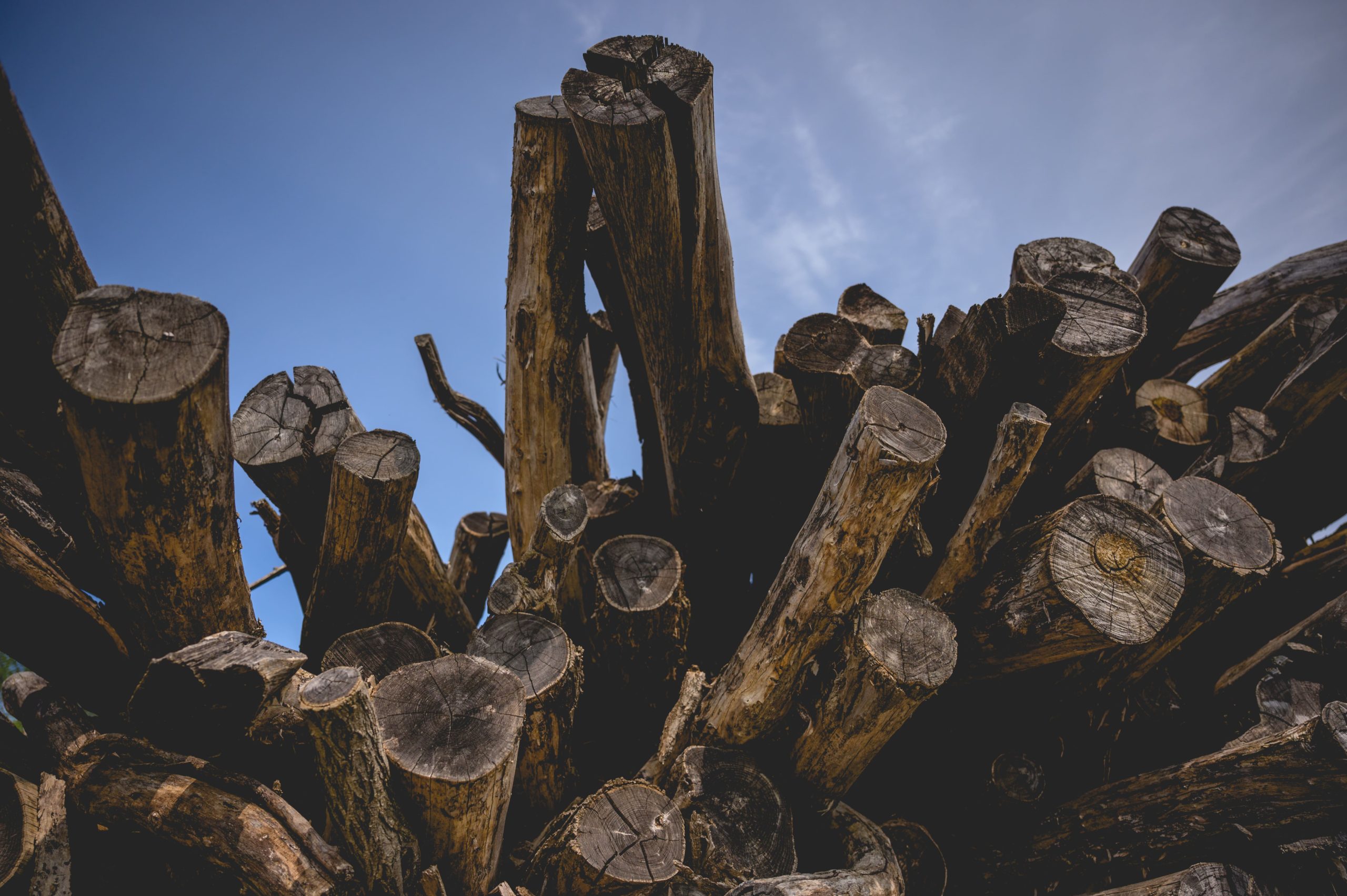 Lumber - Black Locust