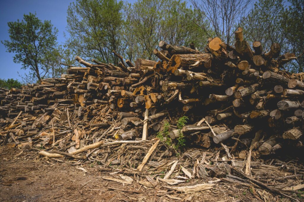 Lumber - Black Locust