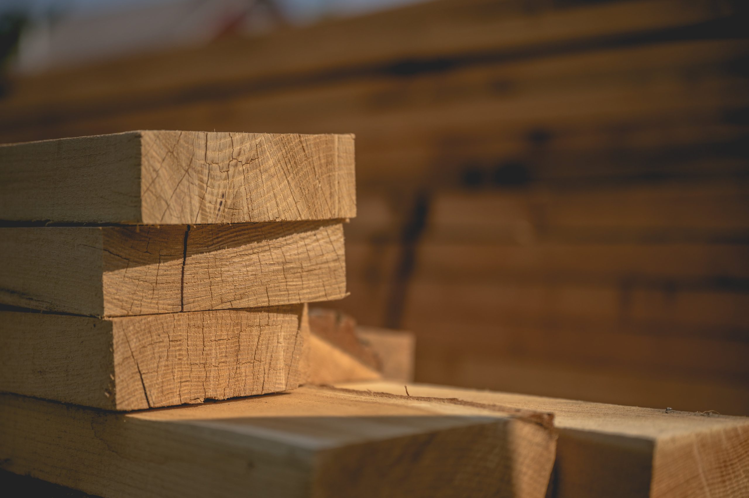 Gallery - Black Locust