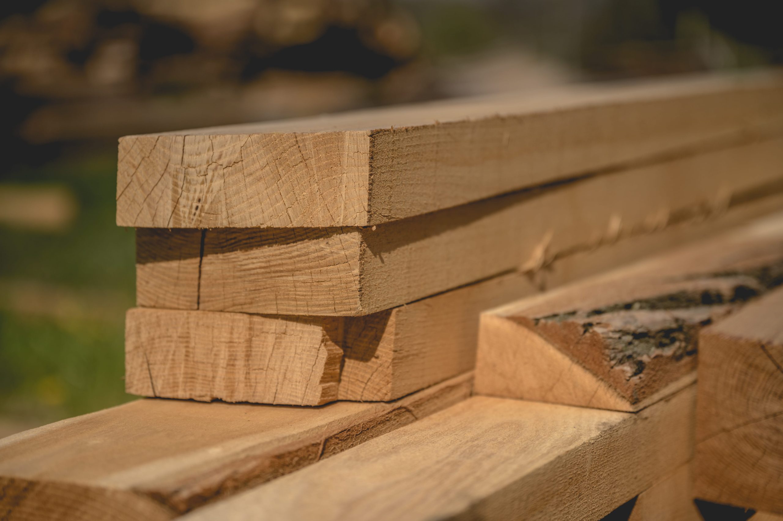 Gallery - Black Locust