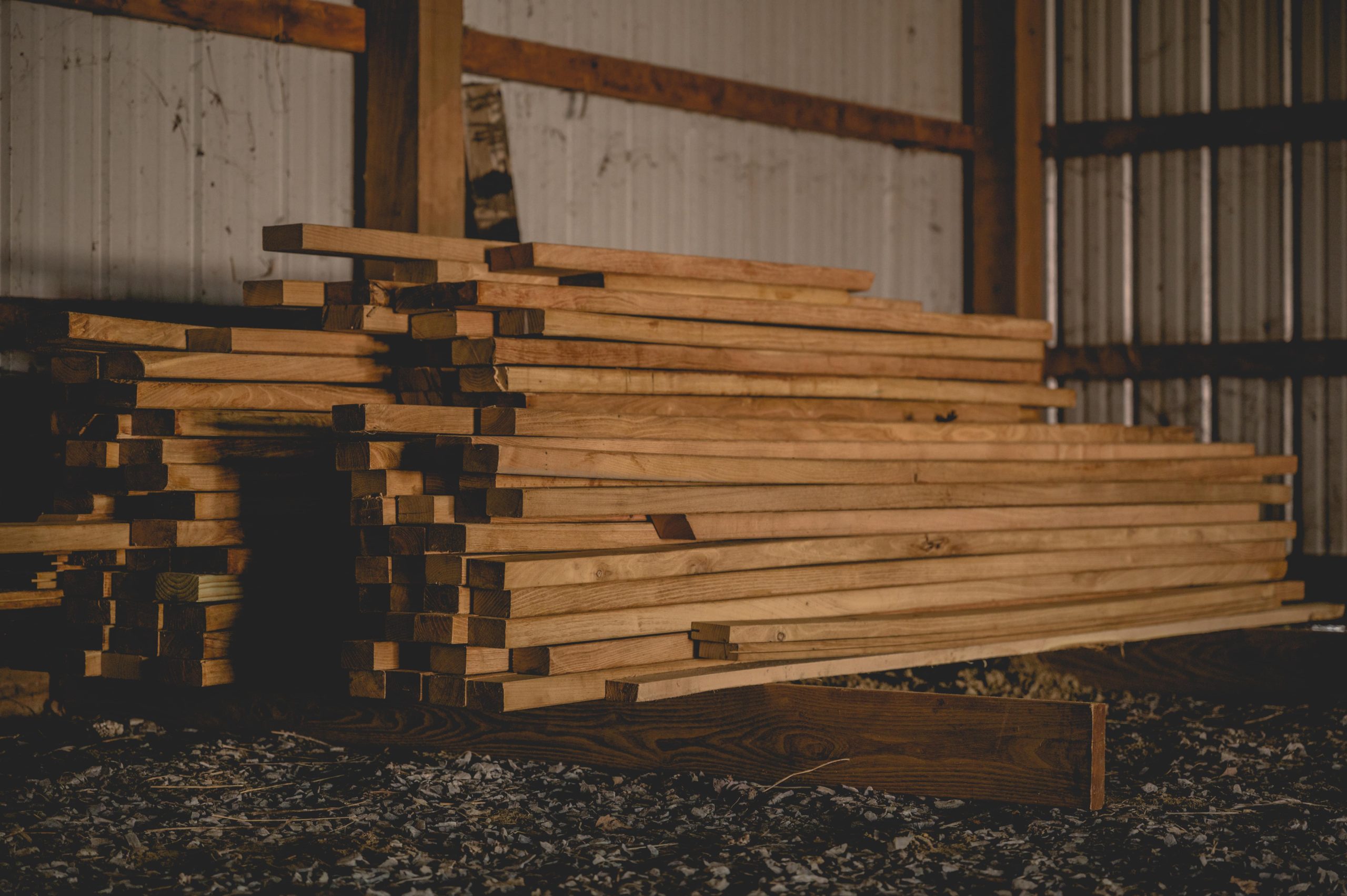 Gallery - Black Locust