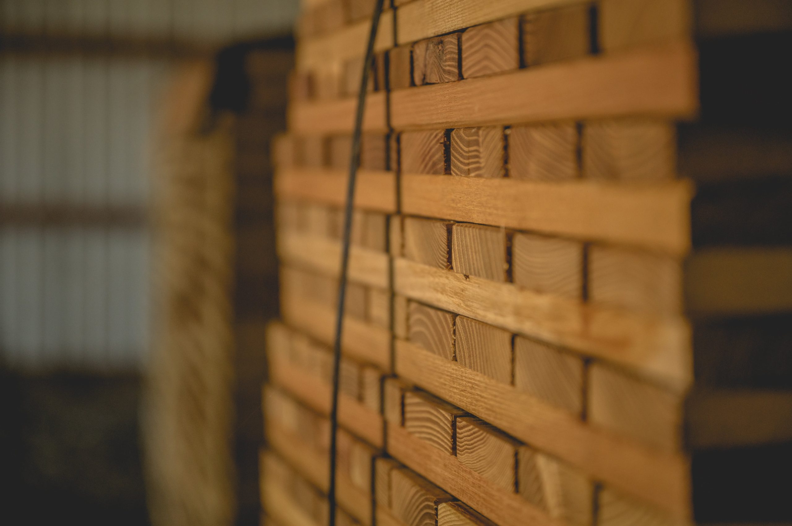 Gallery - Black Locust