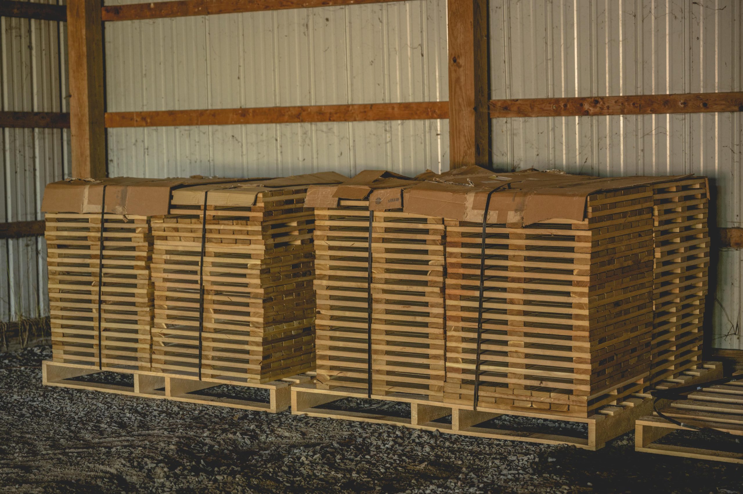 Gallery - Black Locust